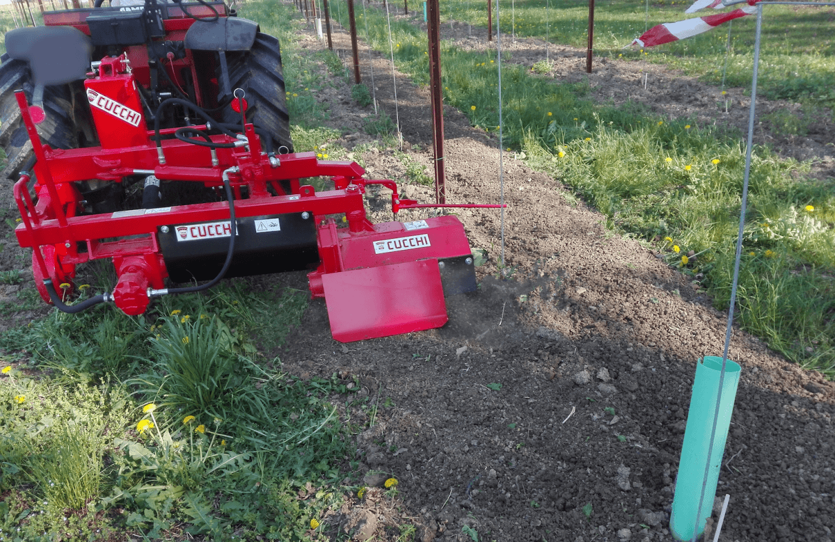 INTER-ROW ROTARY HOE SI 1 series - CUCCHI