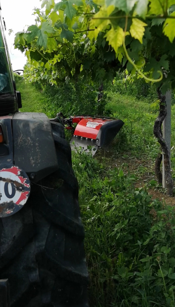 Diserbo meccanico in vigneto con spollonatrice a fili speciali su ...