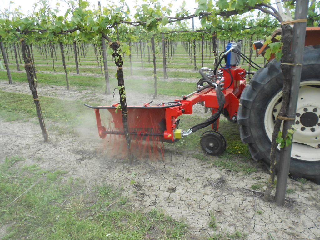 spollonatrice a fili lunghi Cucchi - Off.mecc. CUCCHI Macchine Agricole